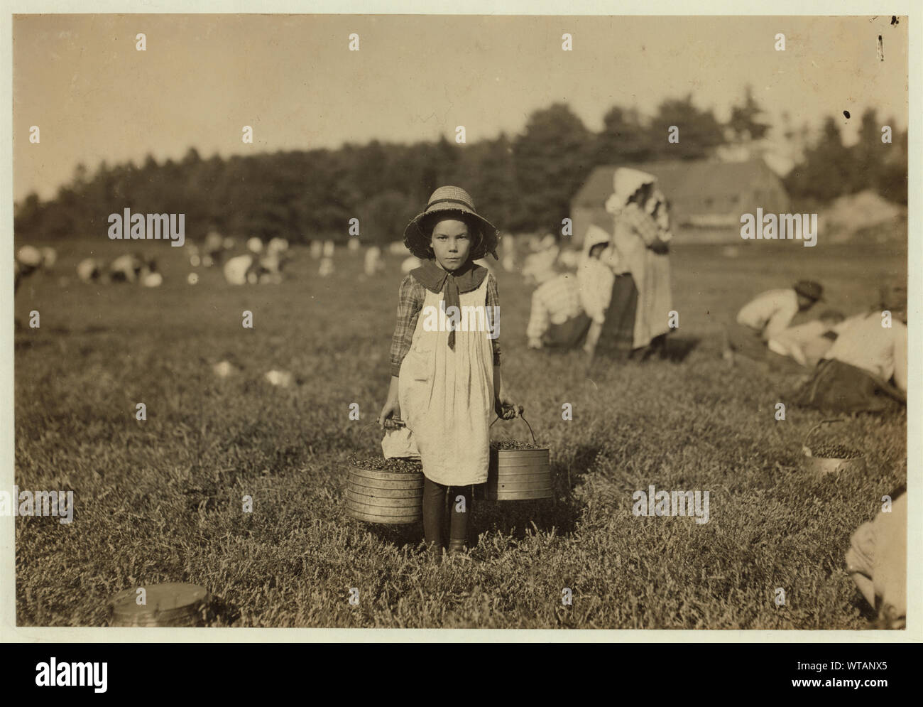 Merilda. Carrying cranberries. Witness, Richard K. Conant. Photographs ...