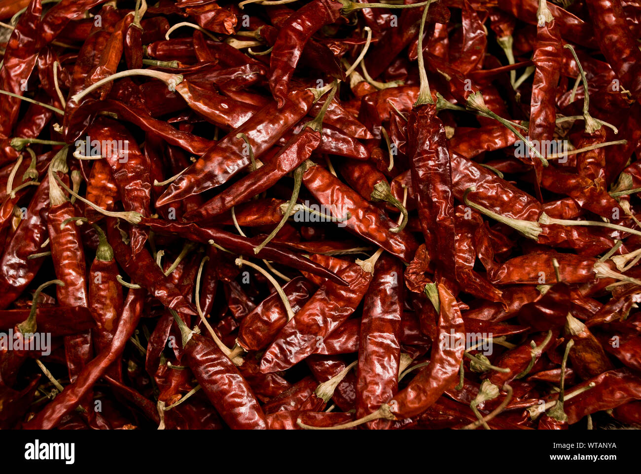 Dry red chilli peppers Stock Photo - Alamy