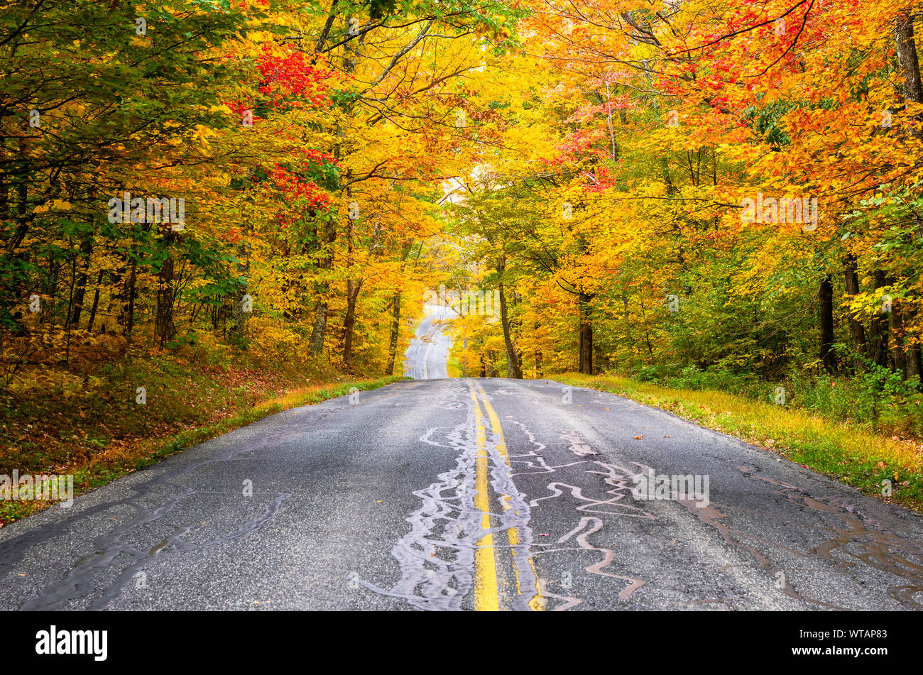 Empty back road hi-res stock photography and images - Alamy