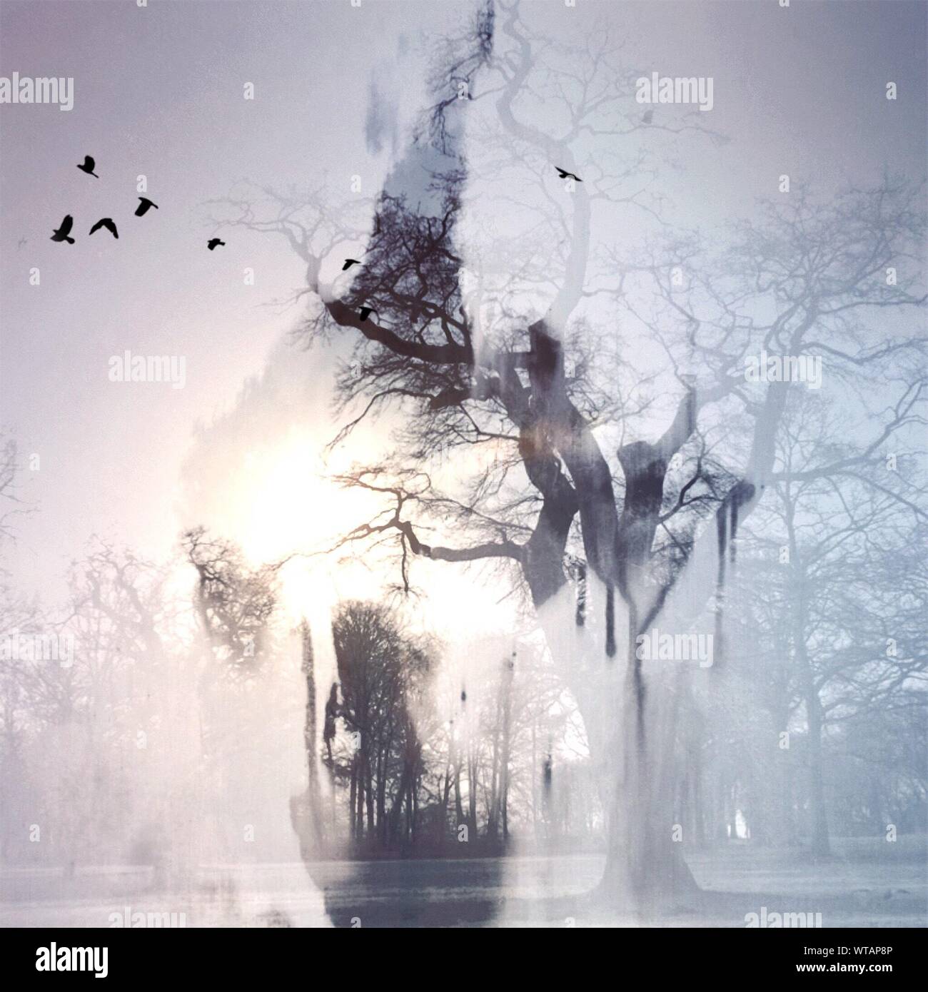 Double Exposure Wildlife High Resolution Stock Photography and Images ...