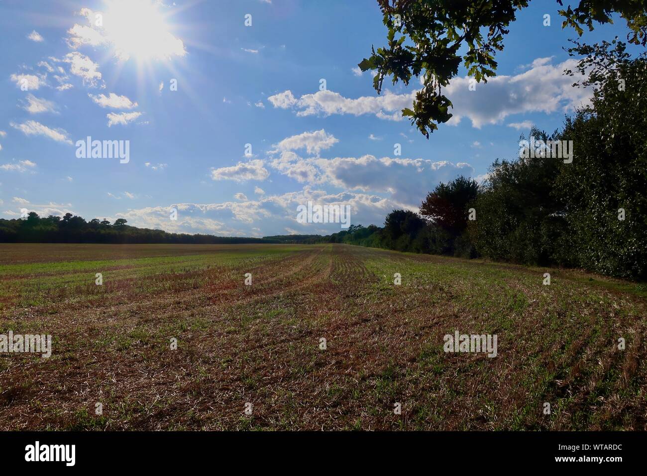 Rural east anglia hi-res stock photography and images - Alamy