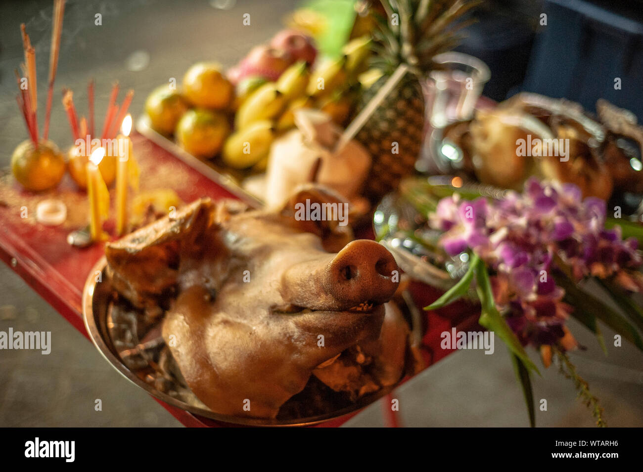 Dead pig head hi-res stock photography and images - Alamy