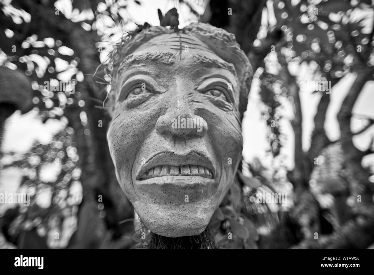 Head sculpture hanging in tree at Wat Rong Khun temple Stock Photo - Alamy