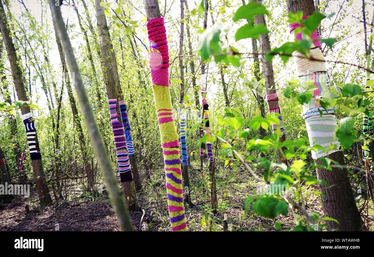 Clothes in trees hi-res stock photography and images - Alamy