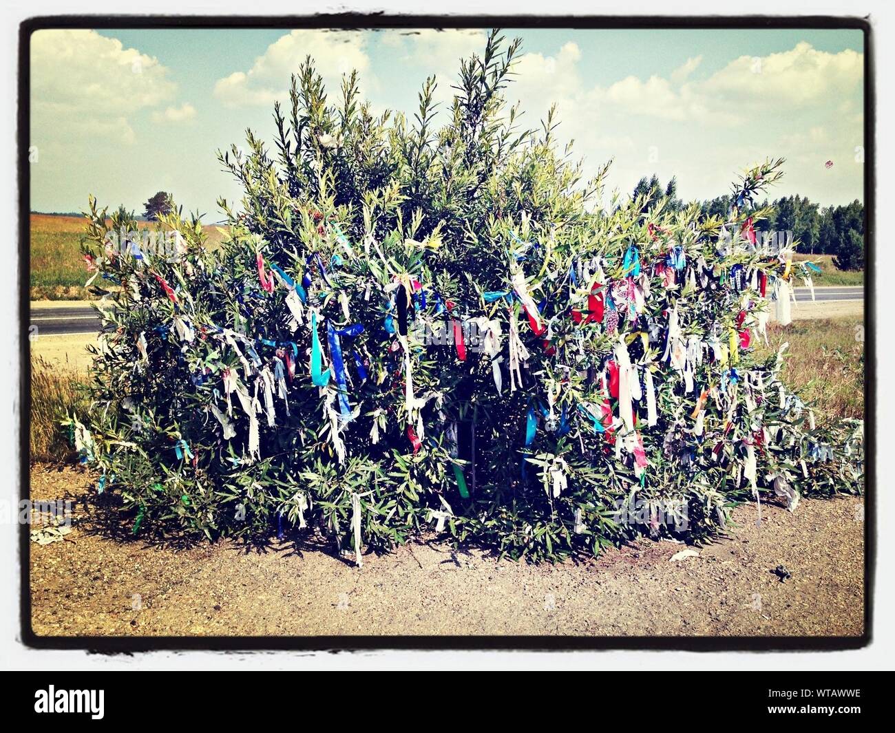 Tree cloud religious worship hi-res stock photography and images - Alamy