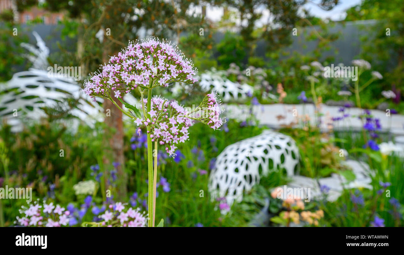 The Manchester Garden by Exterior Architecture Stock Photo - Alamy