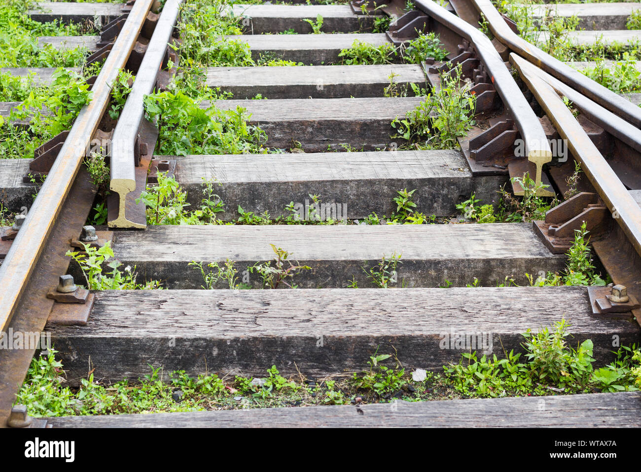 Overgrown railway track hi-res stock photography and images - Alamy