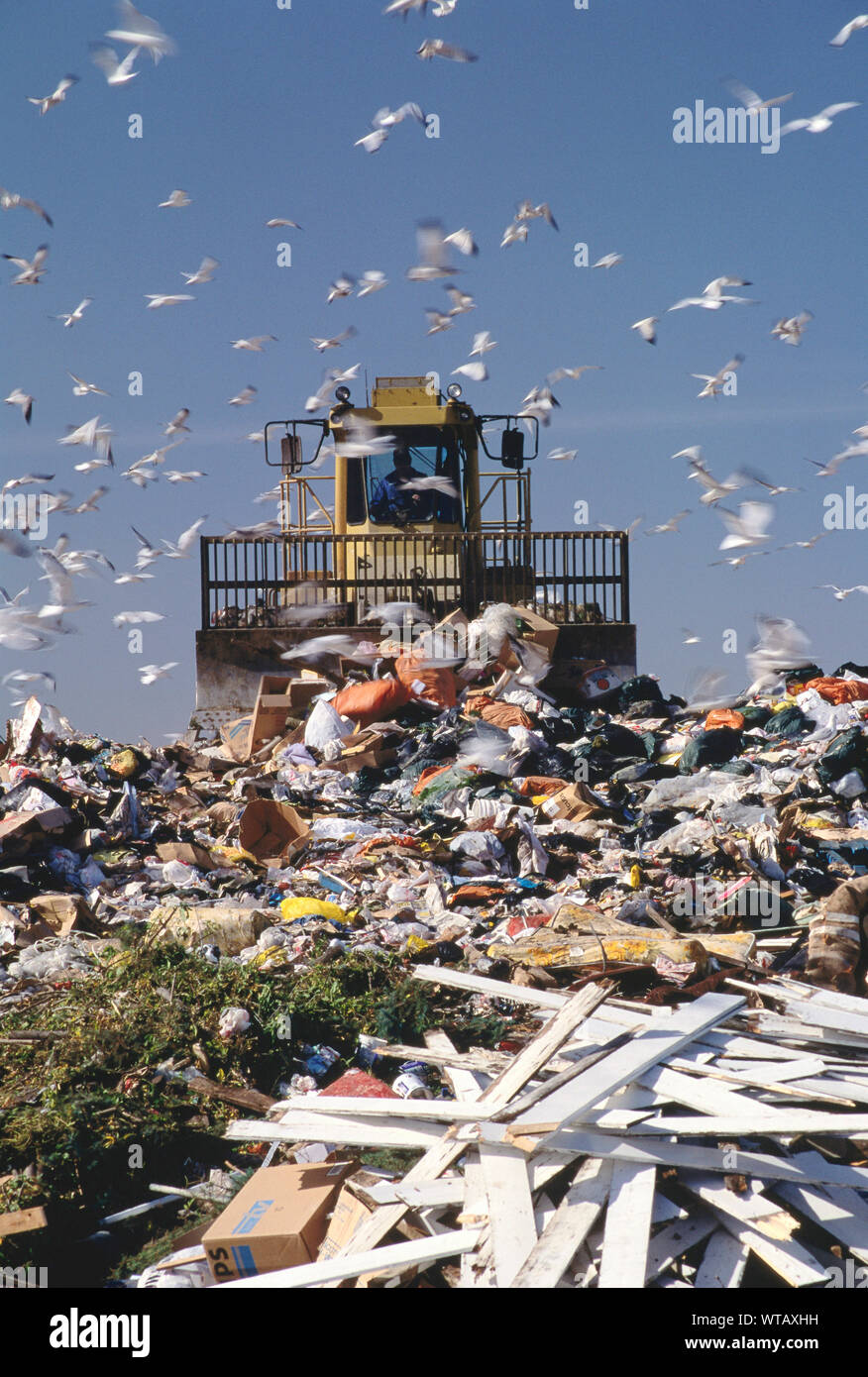Garbage in a Landfill Stock Photo - Alamy