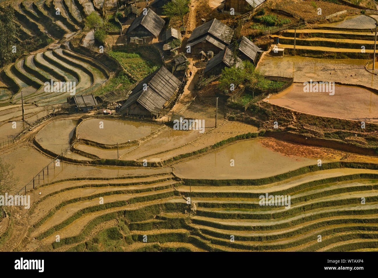 Tradicional Hmong rice fields village Stock Photo - Alamy