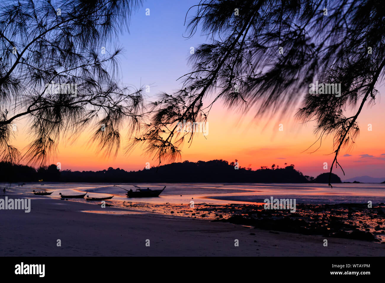Tropical warm sunset under filao trees, Ko Phayam Island, Thailand ...