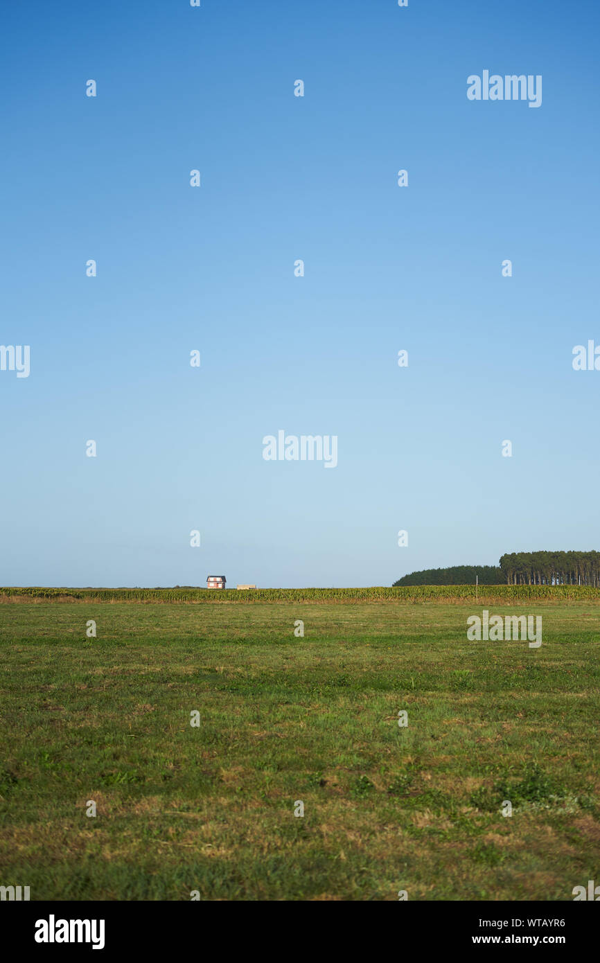 Field of grass completely empty until the horizon Stock Photo - Alamy
