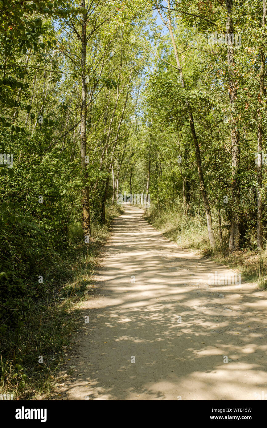 Walkway path perspective hi-res stock photography and images - Alamy