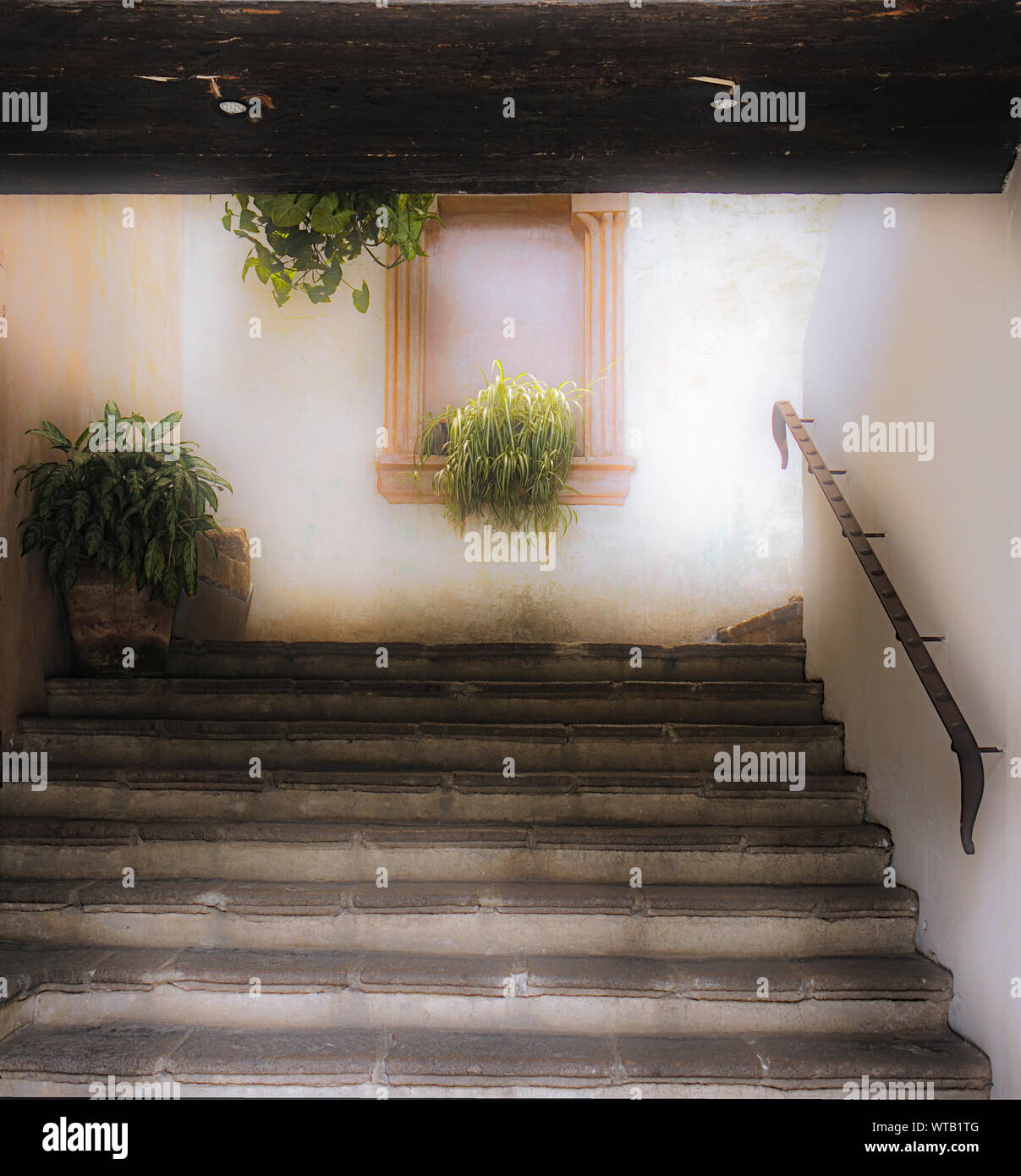 Glowing entrance stairs decorated with plants. Colonial style Stock ...