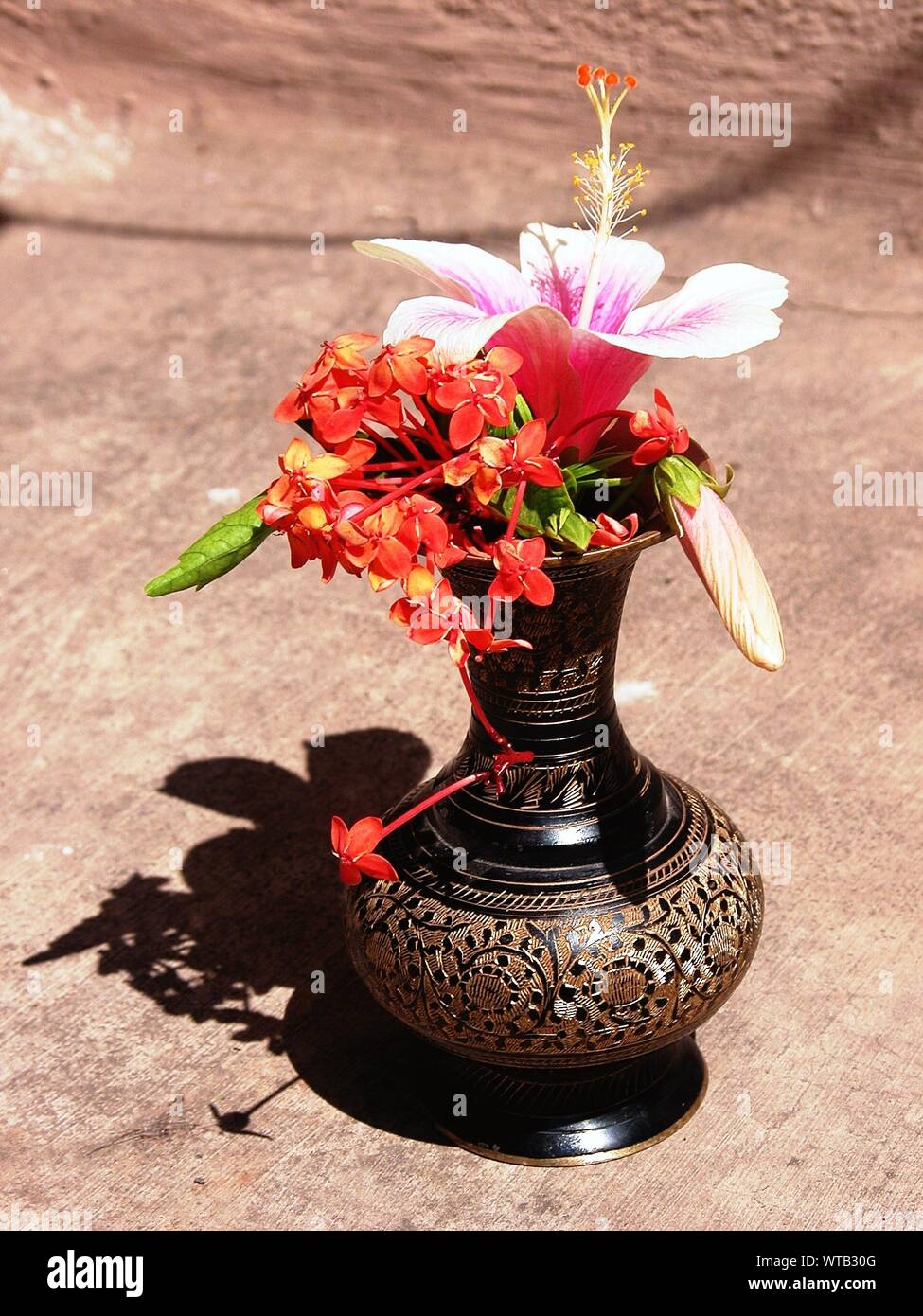 Hibiscus Flower Flowers Vase High Resolution Stock Photography and ...
