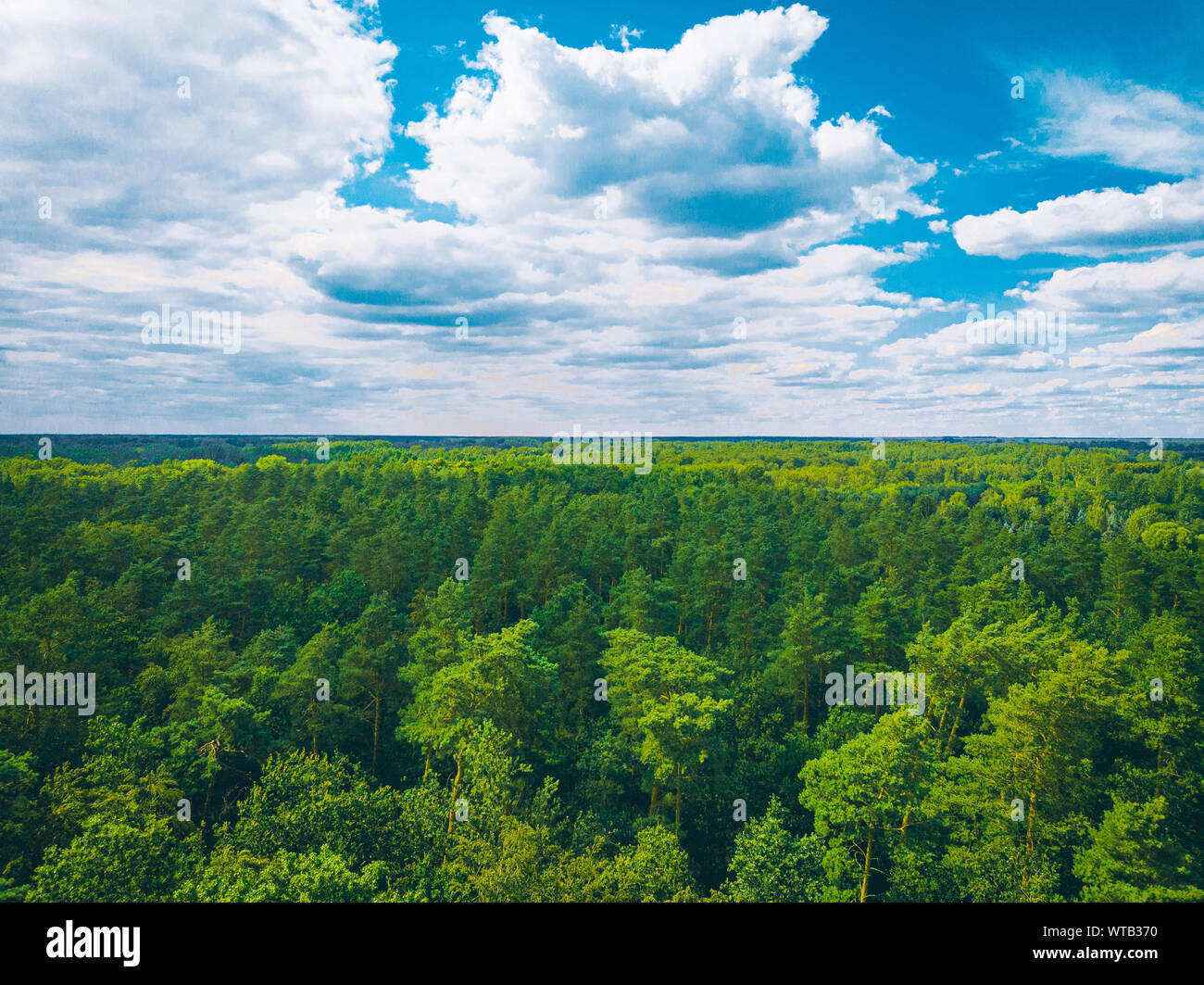 German phenomenon hi-res stock photography and images - Alamy