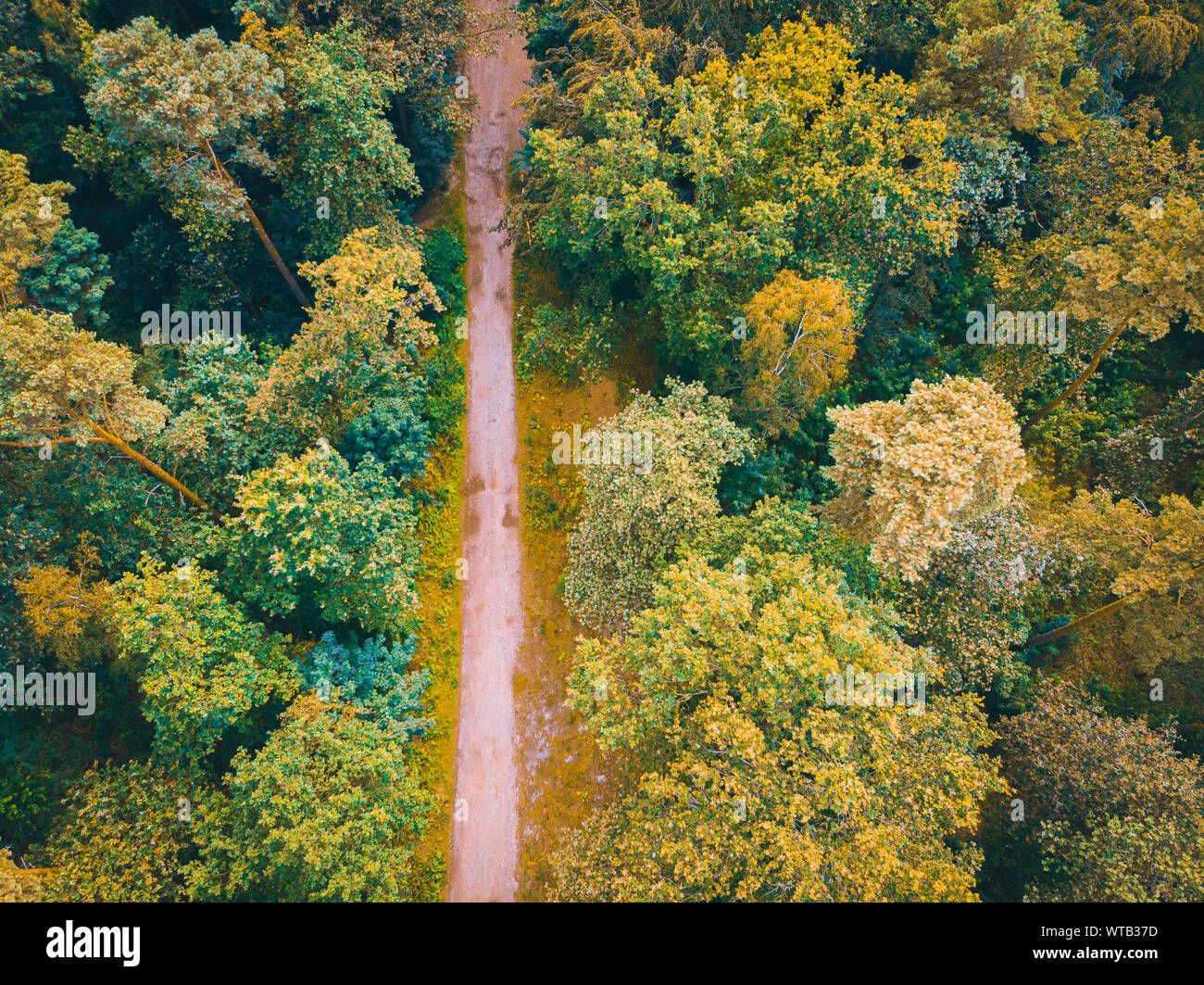 Path made light colored hi-res stock photography and images - Alamy