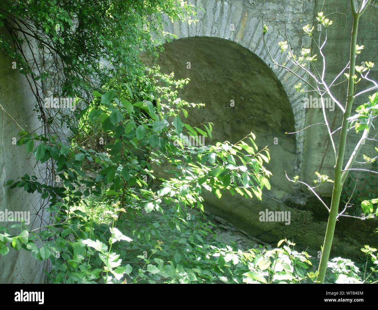 Growing Arch High Resolution Stock Photography and Images - Alamy