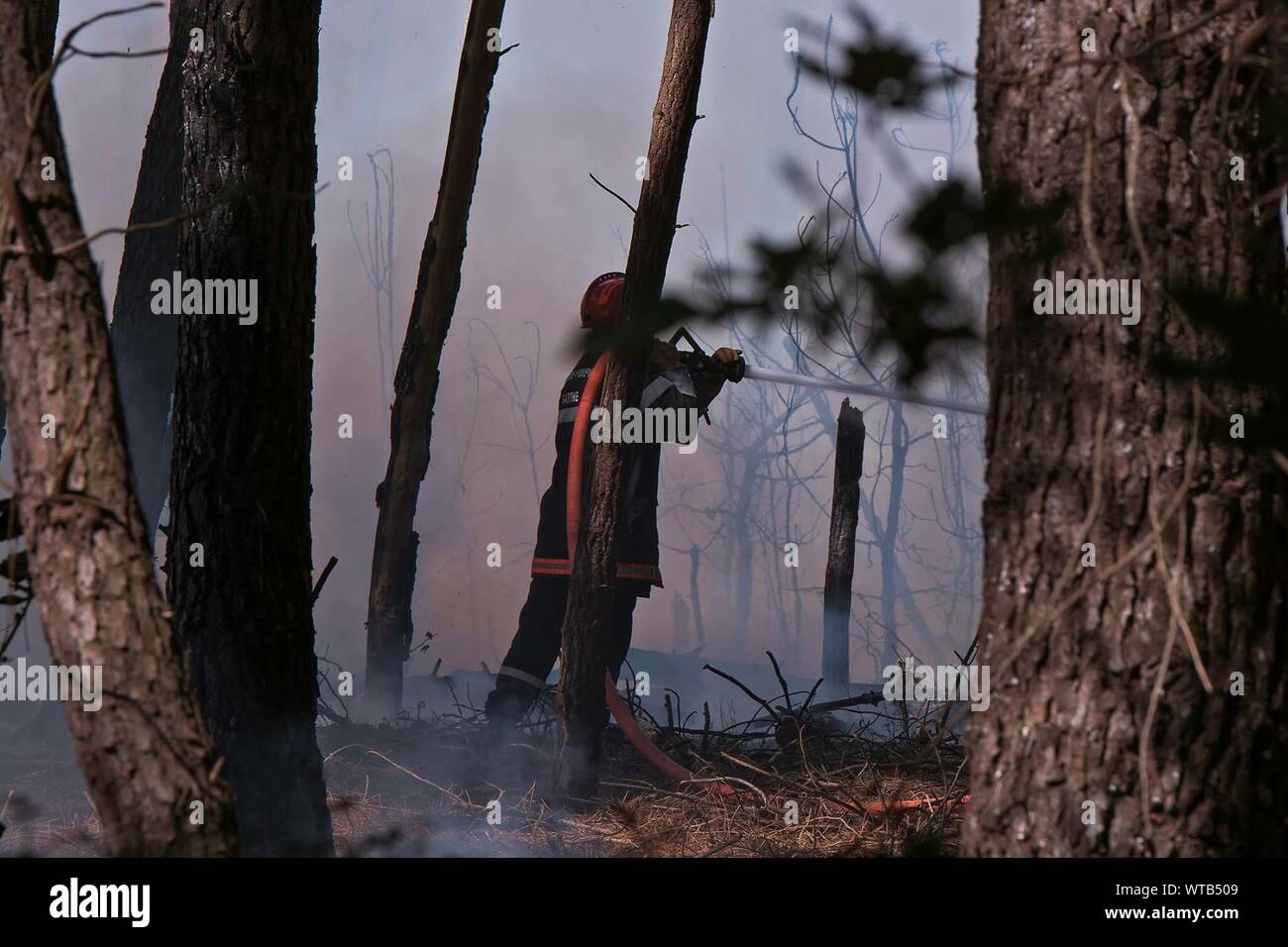 Firefighter fire forest hi-res stock photography and images - Alamy