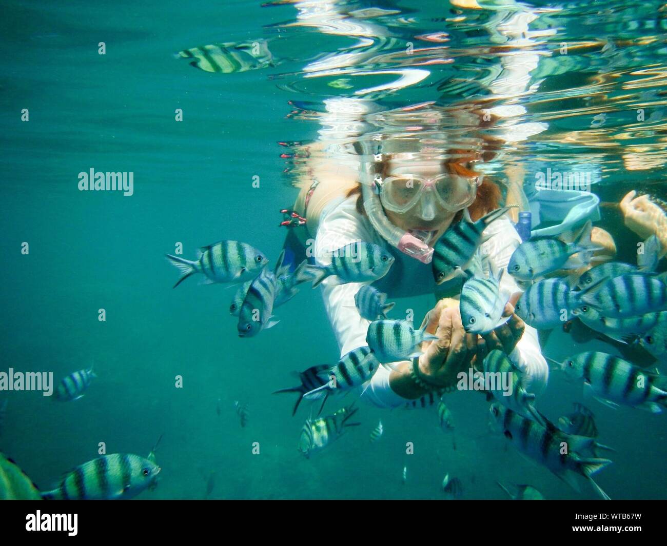 Underwater activities fish hi-res stock photography and images - Alamy