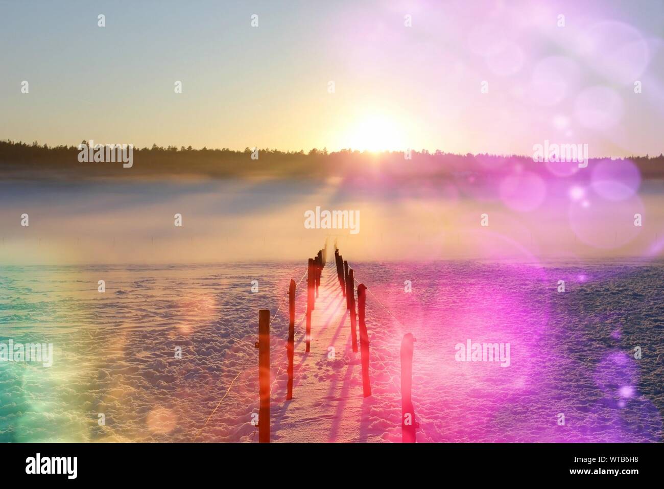 Dazzling sunlight hi-res stock photography and images - Alamy