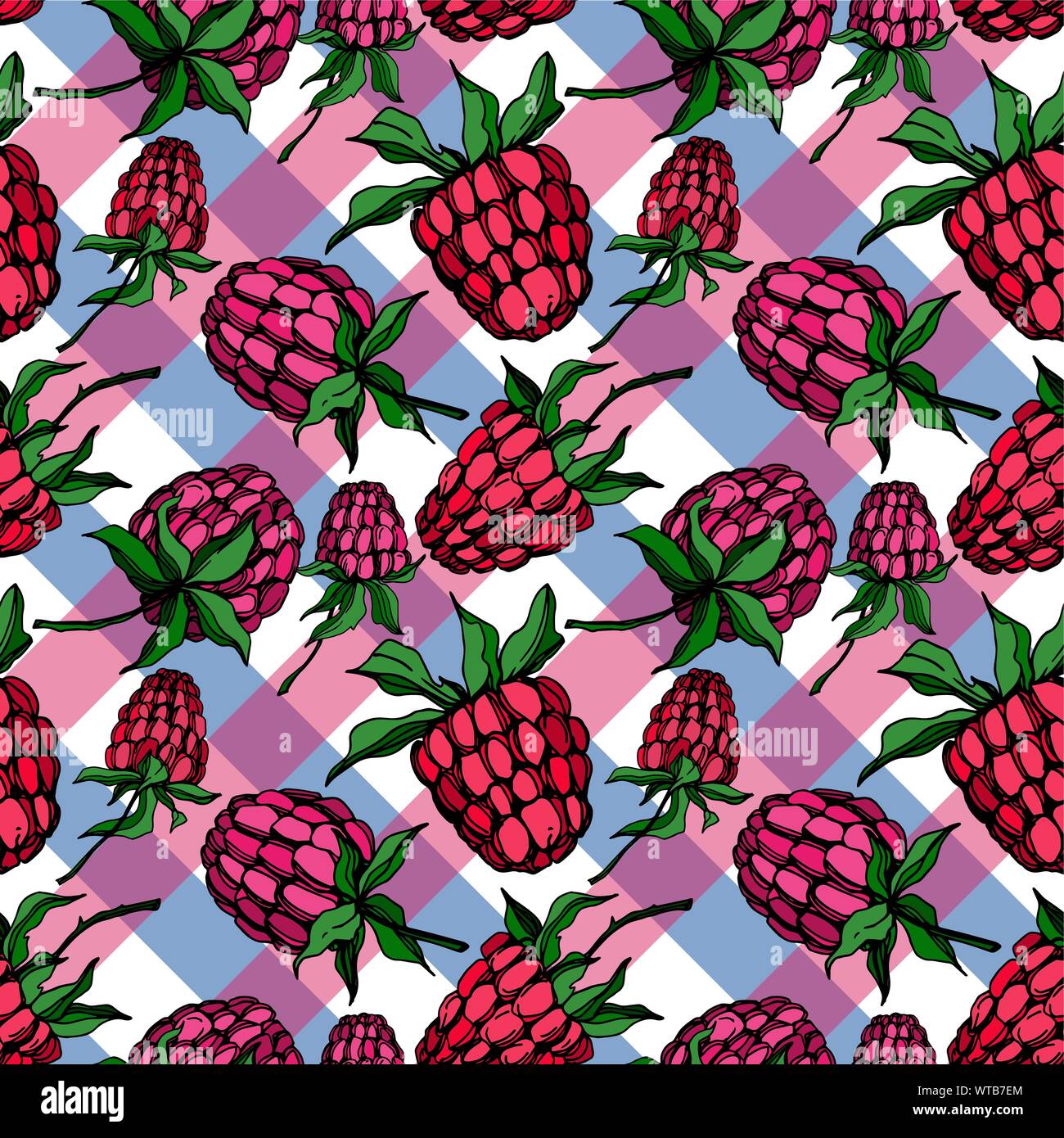 Vector Raspberry healthy food isolated. Black and white engraved ink ...