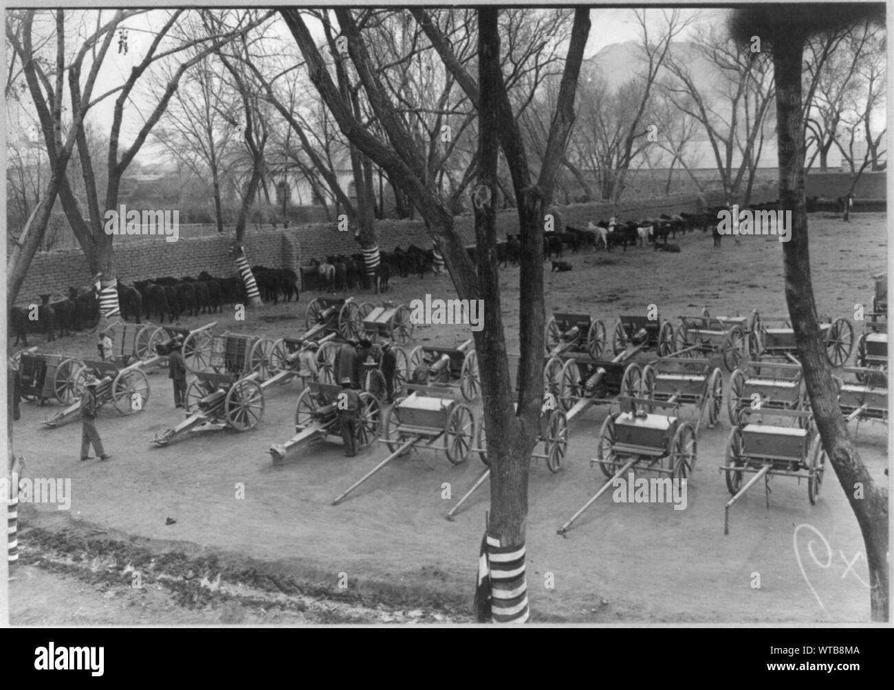 Mexican War, 1914: Field artillery and caisson wagons on parade ground ...