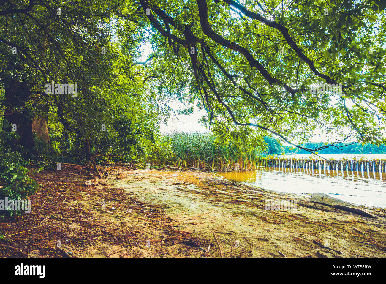 Beachline hi-res stock photography and images - Alamy