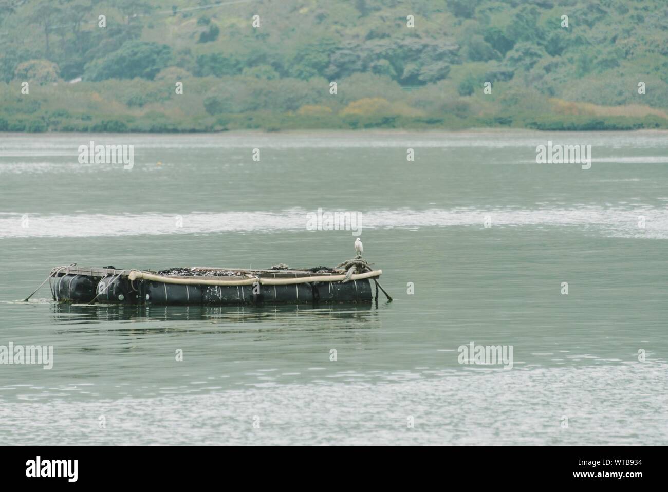 Raft floating hi-res stock photography and images - Alamy