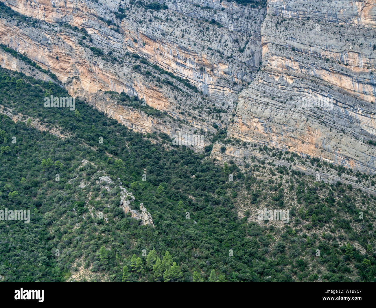 Diagonal real cliff with the forest, background, texture Stock Photo ...