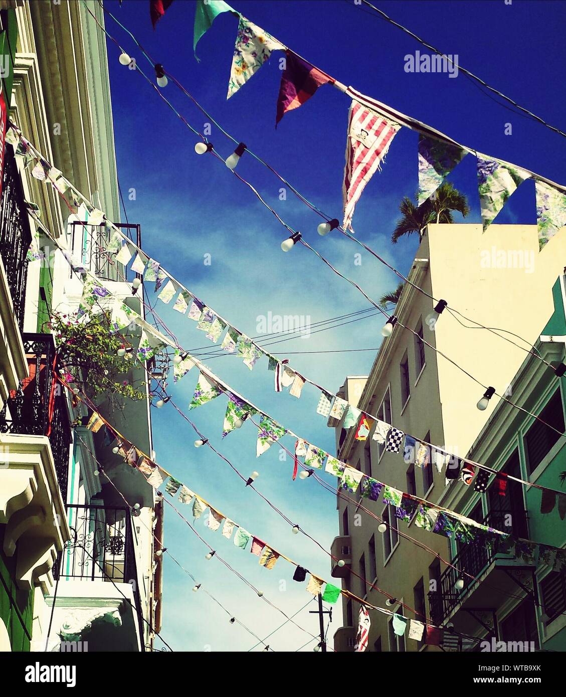 Hanging pennants hi-res stock photography and images - Alamy