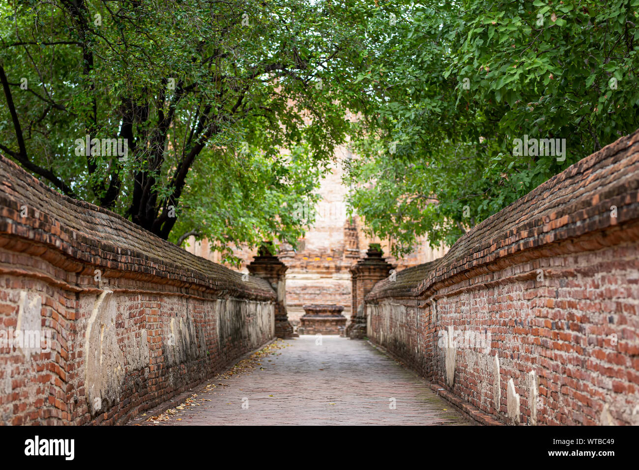 footpath way by brick wall in Thailand temple Stock Photo - Alamy