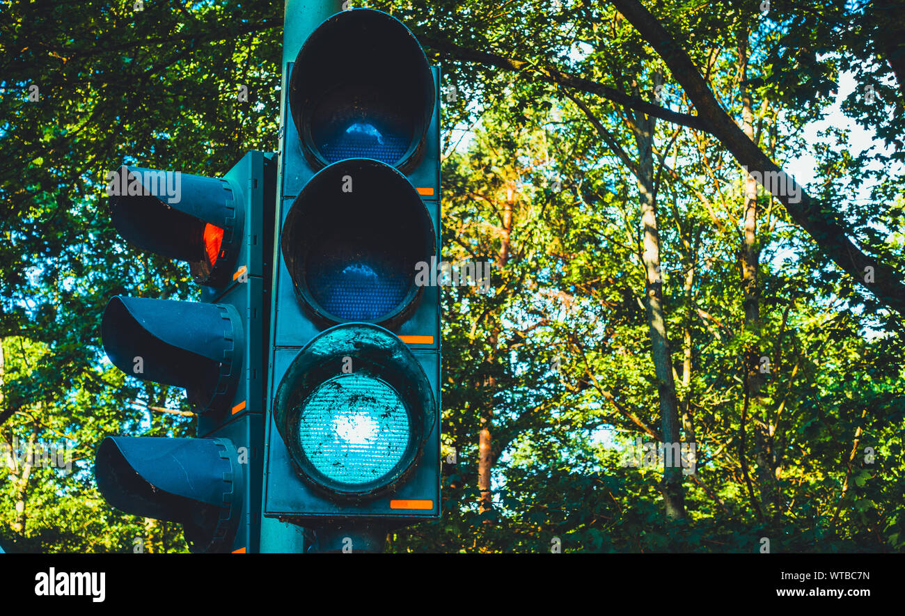 traffic light with trees in the background Stock Photo - Alamy