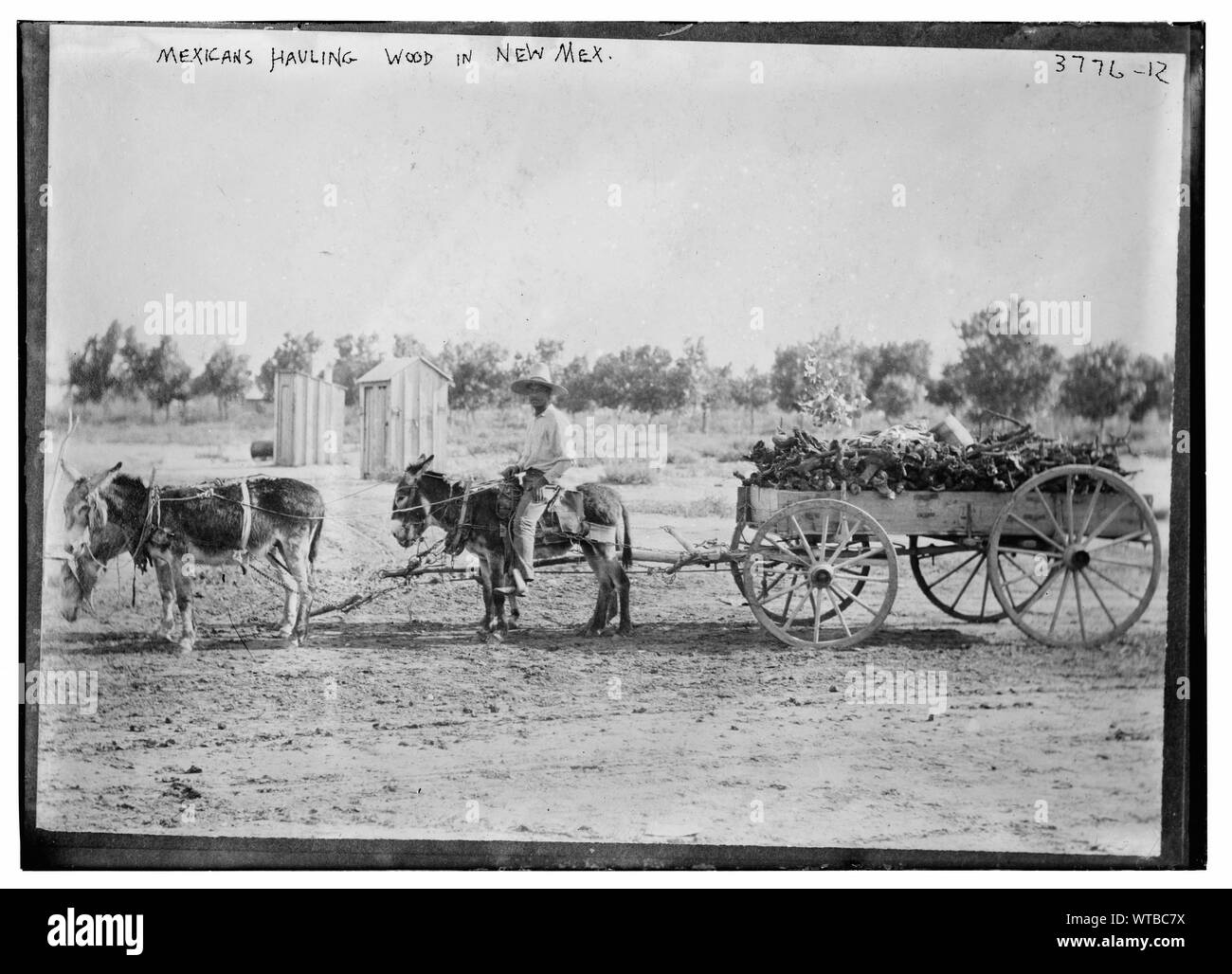 Workers work in wood Cut Out Stock Images & Pictures - Alamy