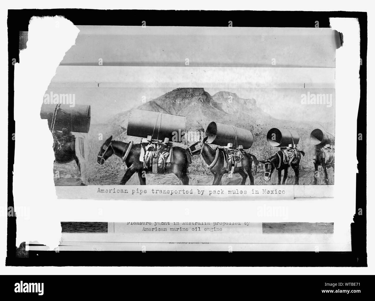 Border america mexico Cut Out Stock Images & Pictures - Alamy