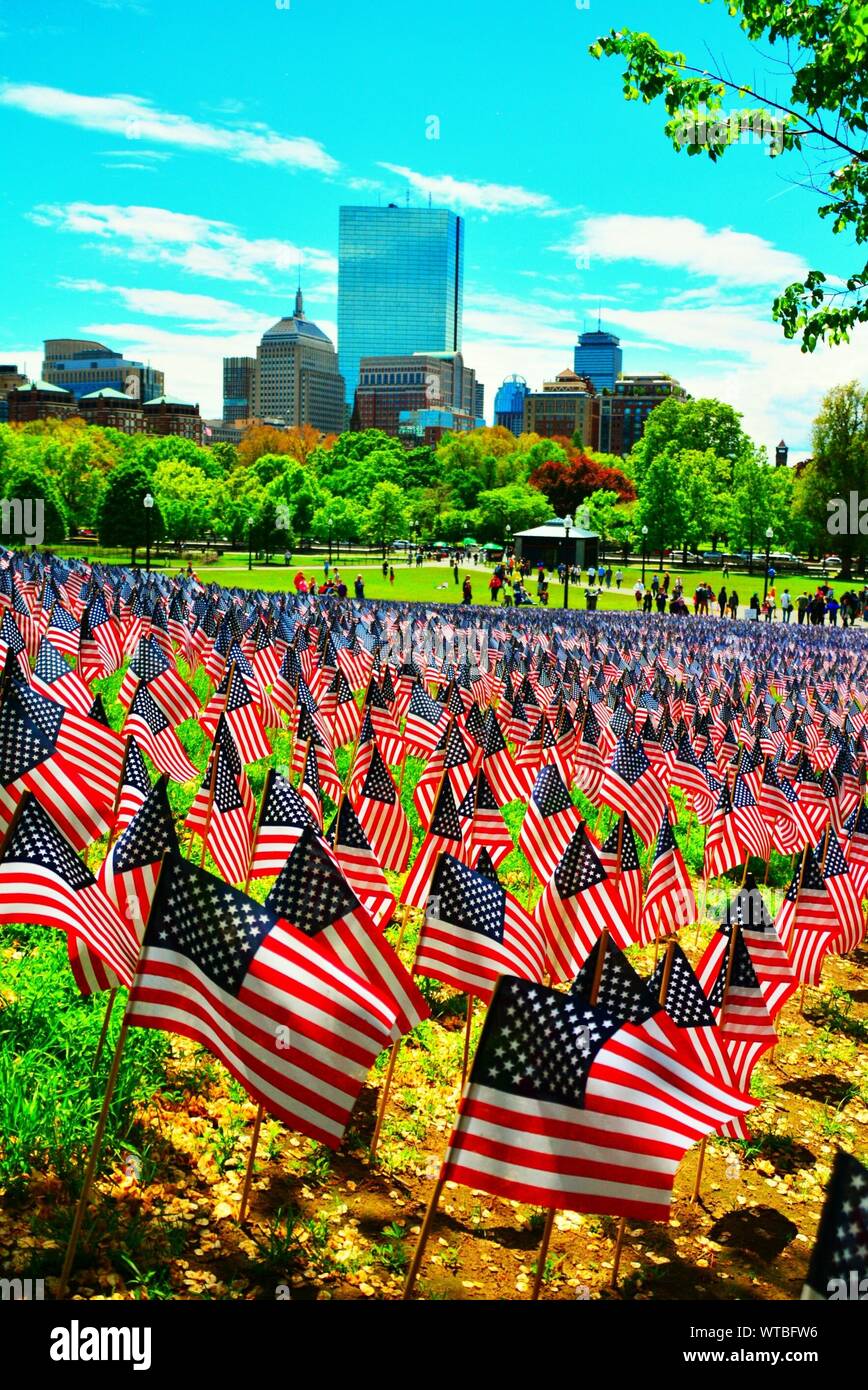 Flags on the field hi-res stock photography and images - Alamy