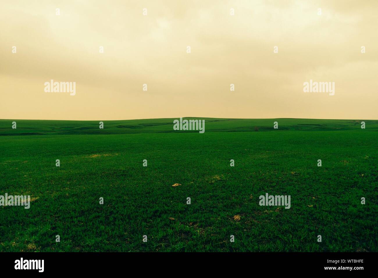 Flat prairie land hi-res stock photography and images - Alamy