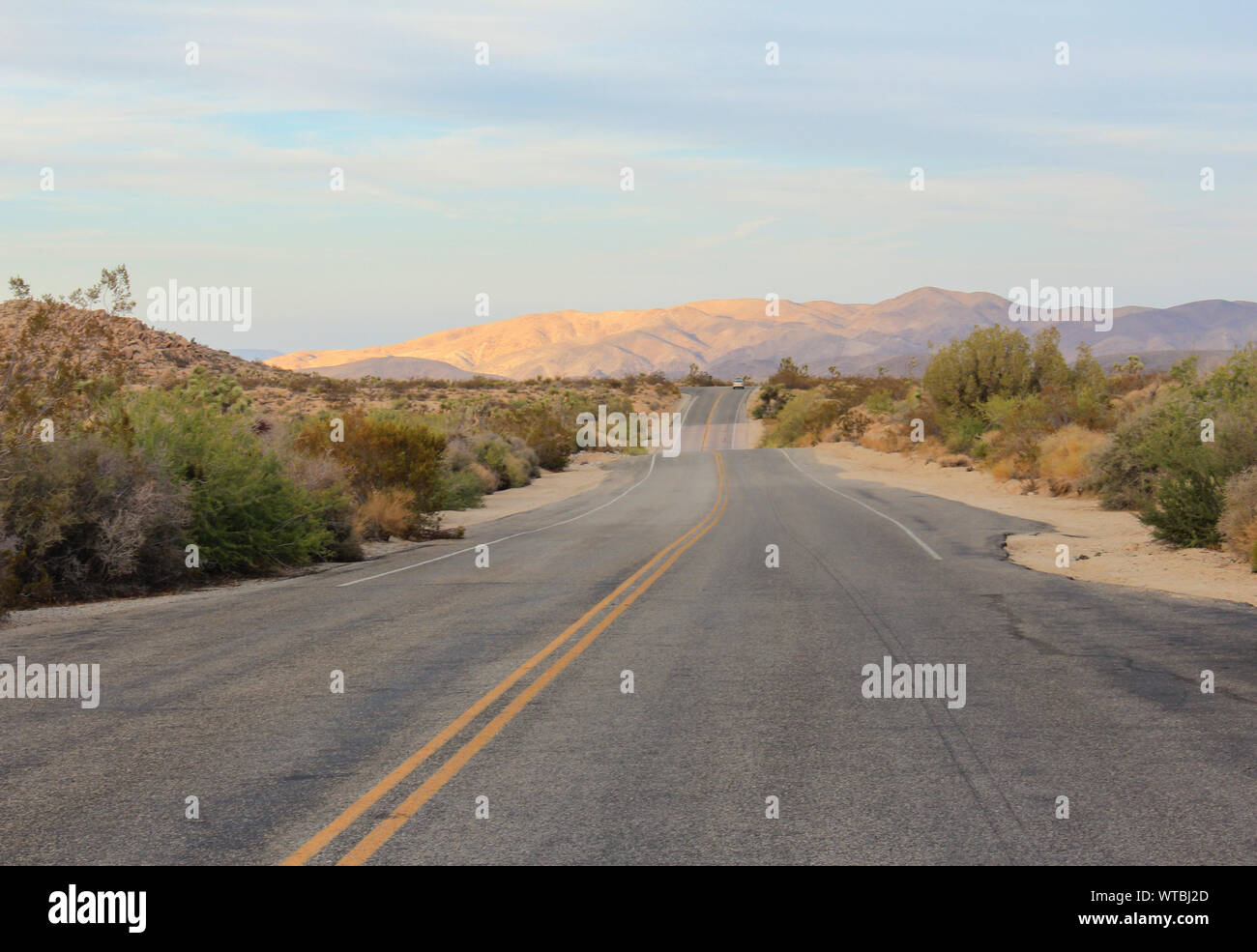 Mojave desert joshua tree road hi-res stock photography and images - Alamy