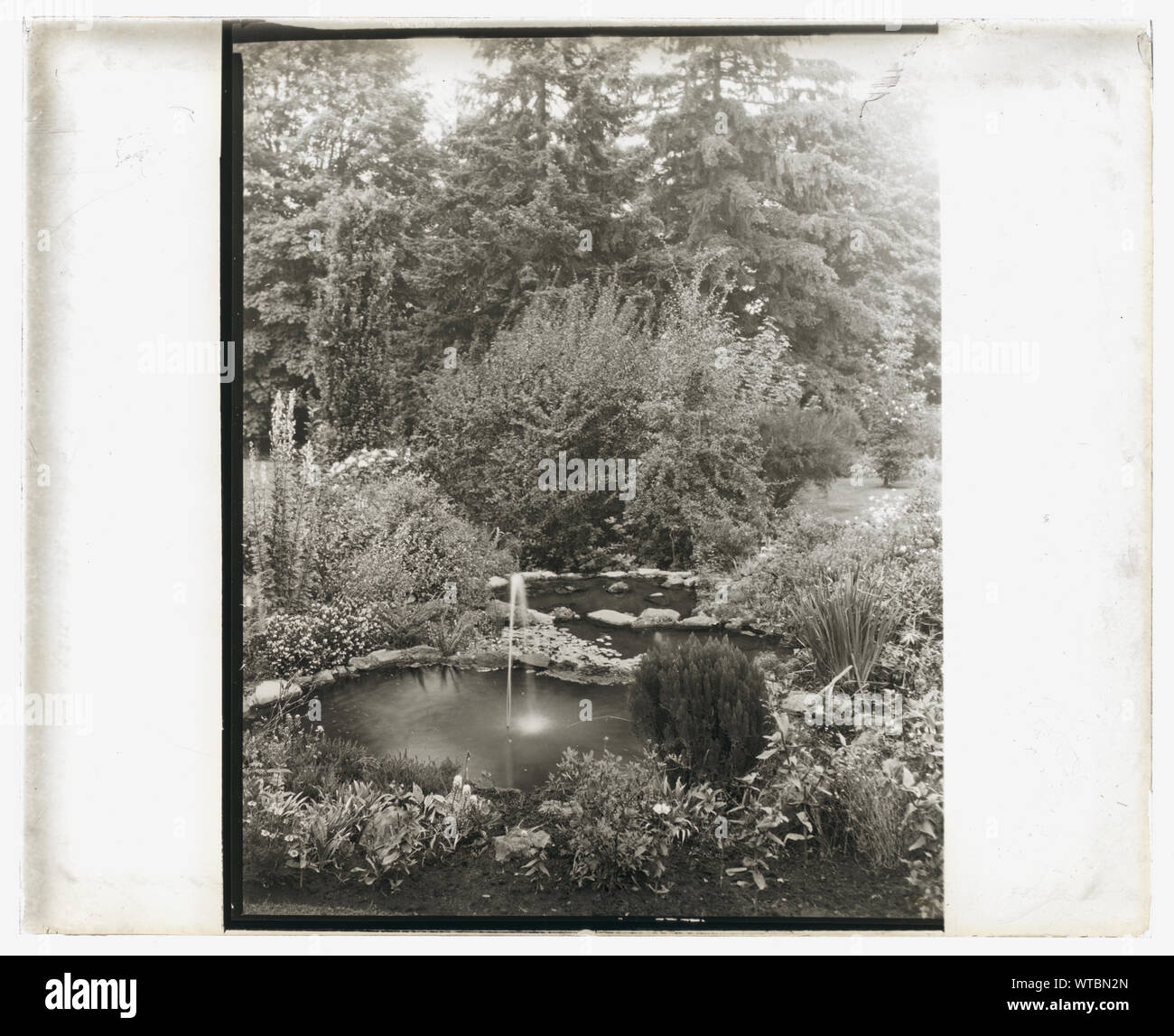 Luxury pools Cut Out Stock Images & Pictures - Alamy