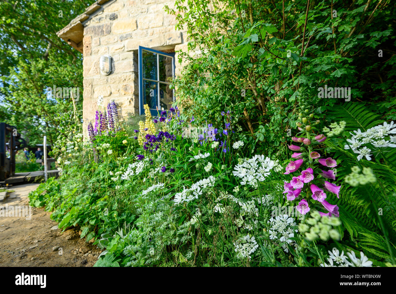 Mark gregory at rhs chelsea flower show hi-res stock photography and ...