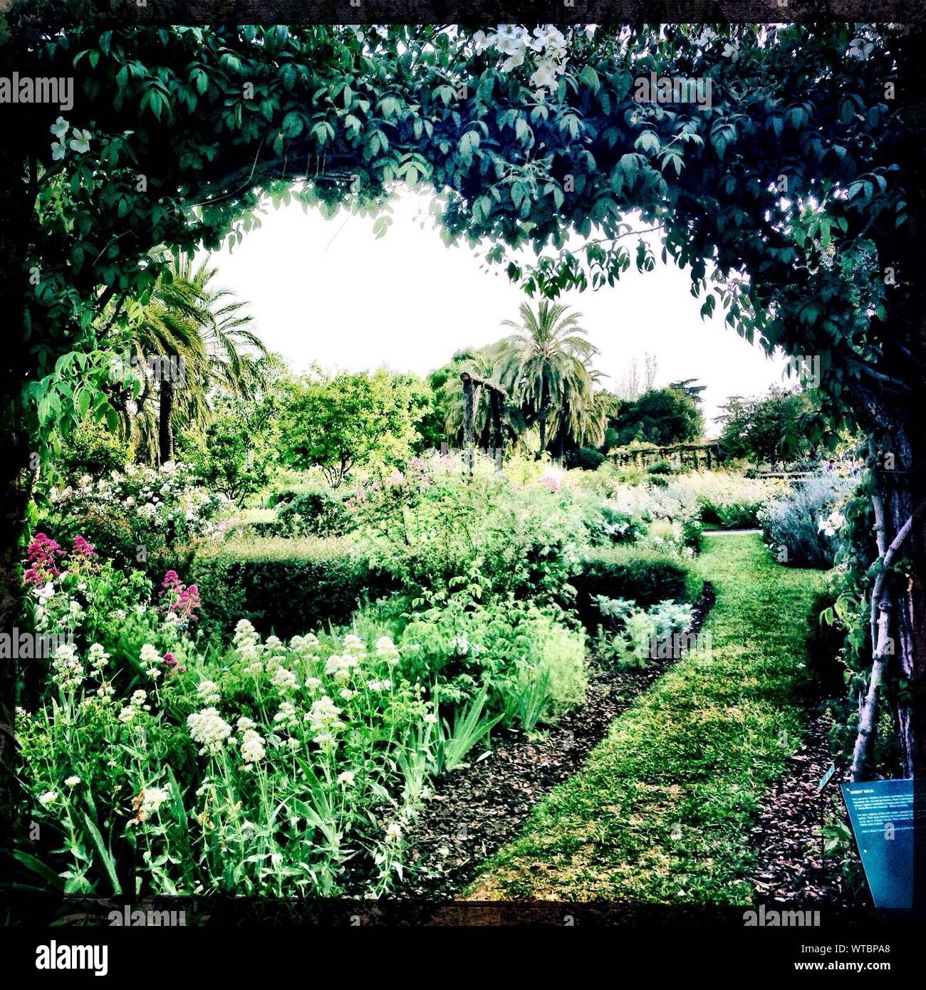 Lush garden view hi-res stock photography and images - Alamy