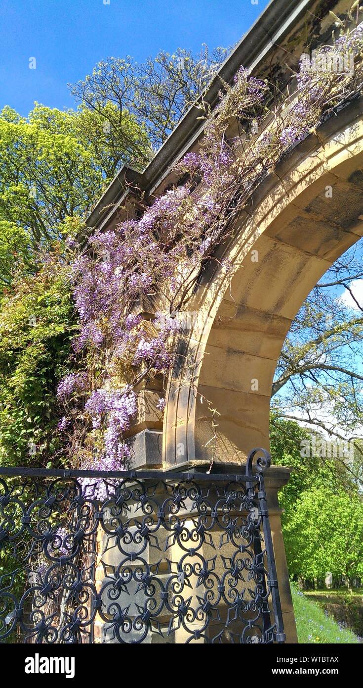 Alnwick view hi-res stock photography and images - Alamy