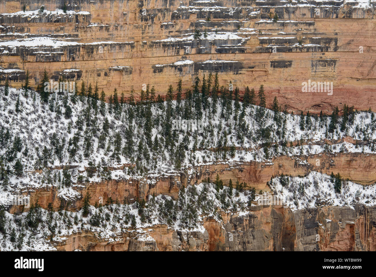 Snow-dusted South Rim walls from Mohave Point, Grand Canyon National ...