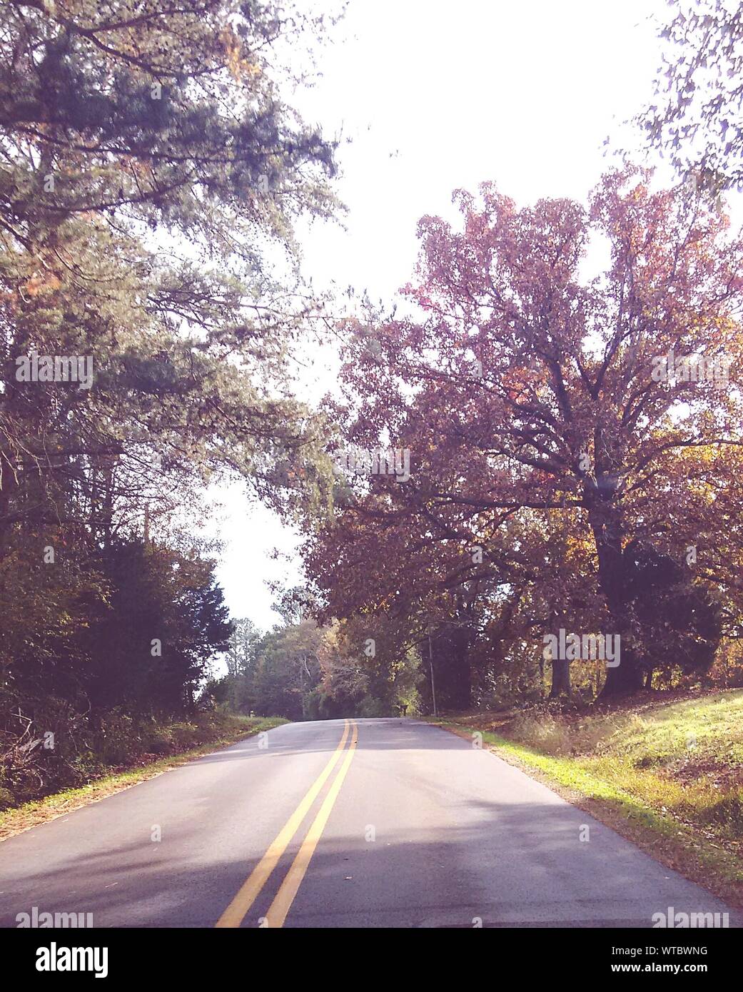 Autumn trees line road hi-res stock photography and images - Alamy