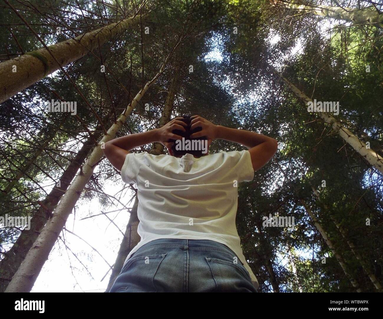 Man standing behind tree in hi-res stock photography and images - Alamy