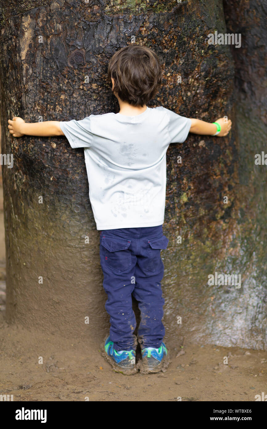 Little happy boy hugging a tree, enjoying the tree Stock Photo - Alamy