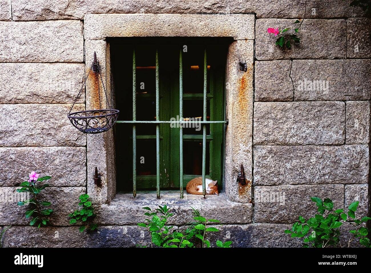 Window exterior view outside hi-res stock photography and images - Alamy