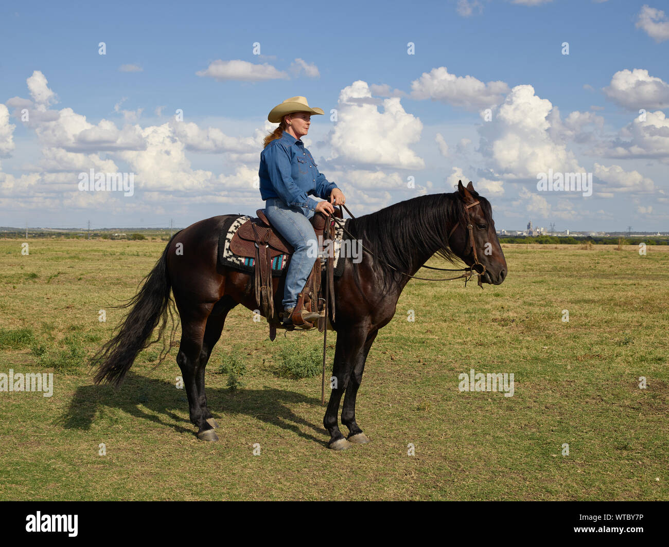 Michelle Cannon owns and runs the Cannon Quarter Horse Ranch near Venus ...