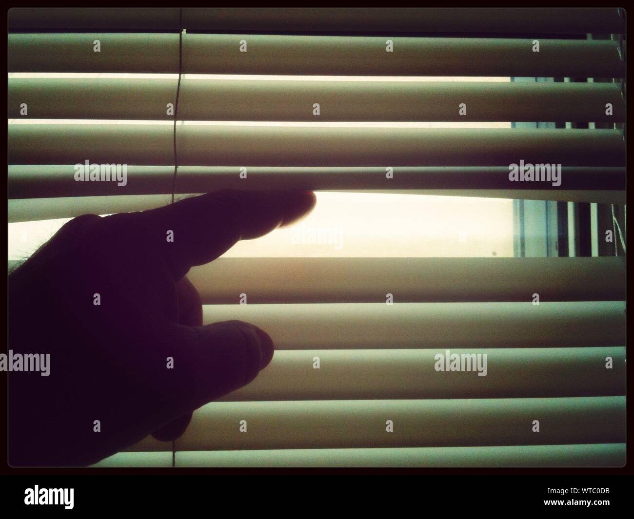 Hand Opening Blinds High Resolution Stock Photography and Images - Alamy