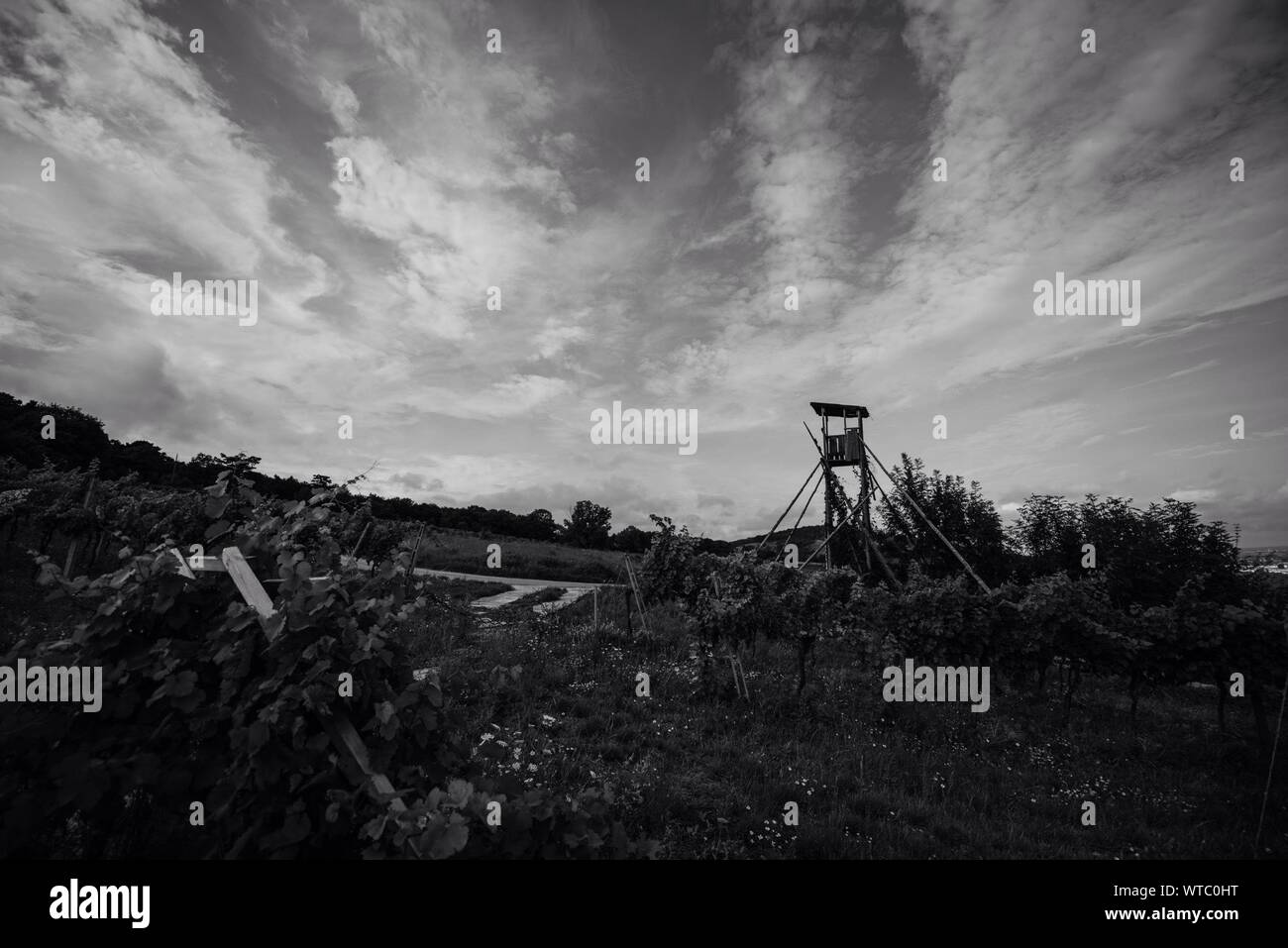 Vineyard tower hi-res stock photography and images - Alamy