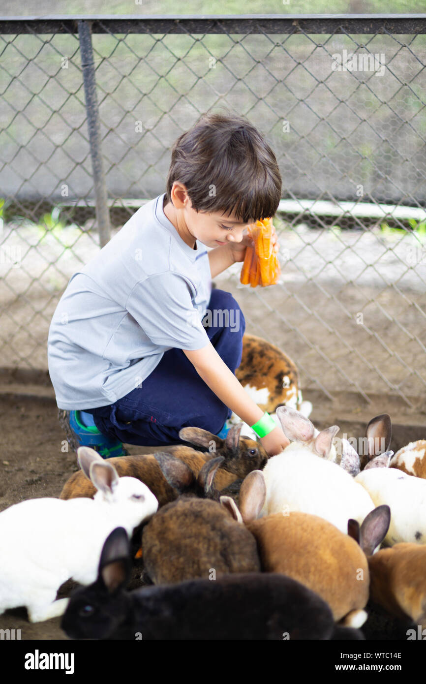 Happy Boy Playing with Rabbit in the Farm Stock Photo - Alamy